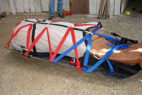 Technical Large Animal Rescue | Commerical Lifts and Slings