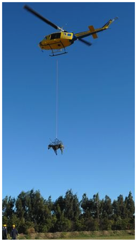 Technical Large Animal Rescue | Commercial Lifts & Slings - Anderson Sling