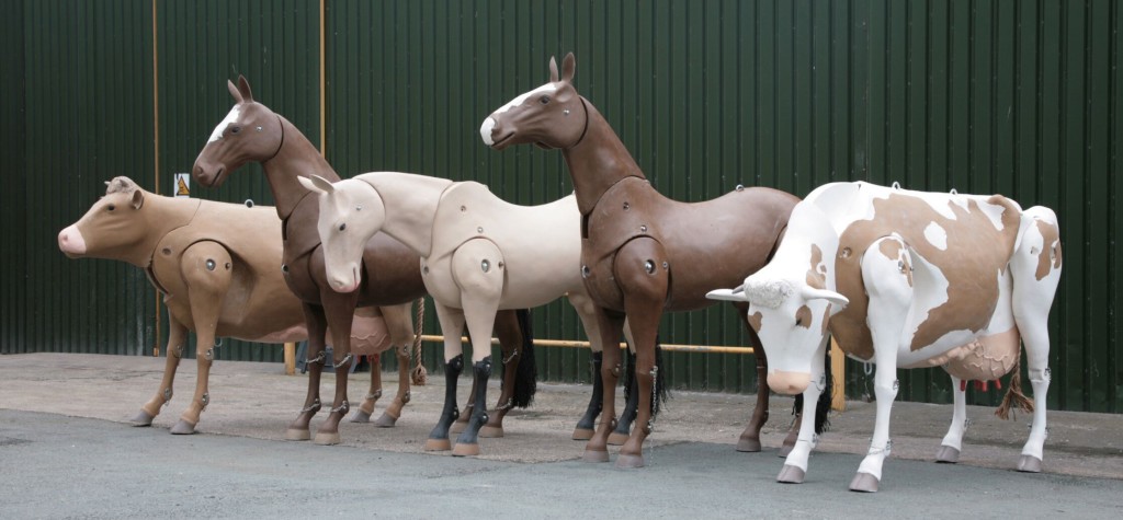 Technical Large Animal Rescue | ATR Training Equipment