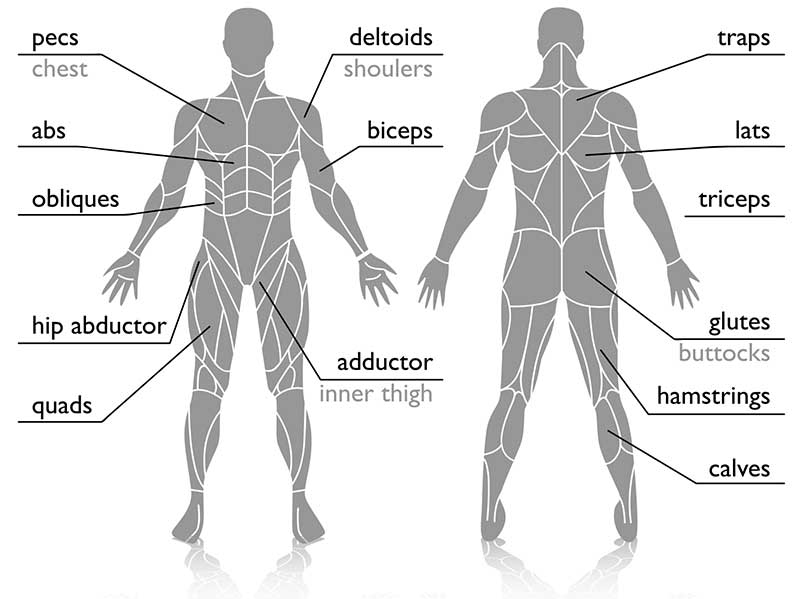 Bodybuilders with gynecomastia & Dr Puah's unique technique