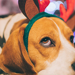 Three Ways to Dump Post-Holiday Slump for Your Employees