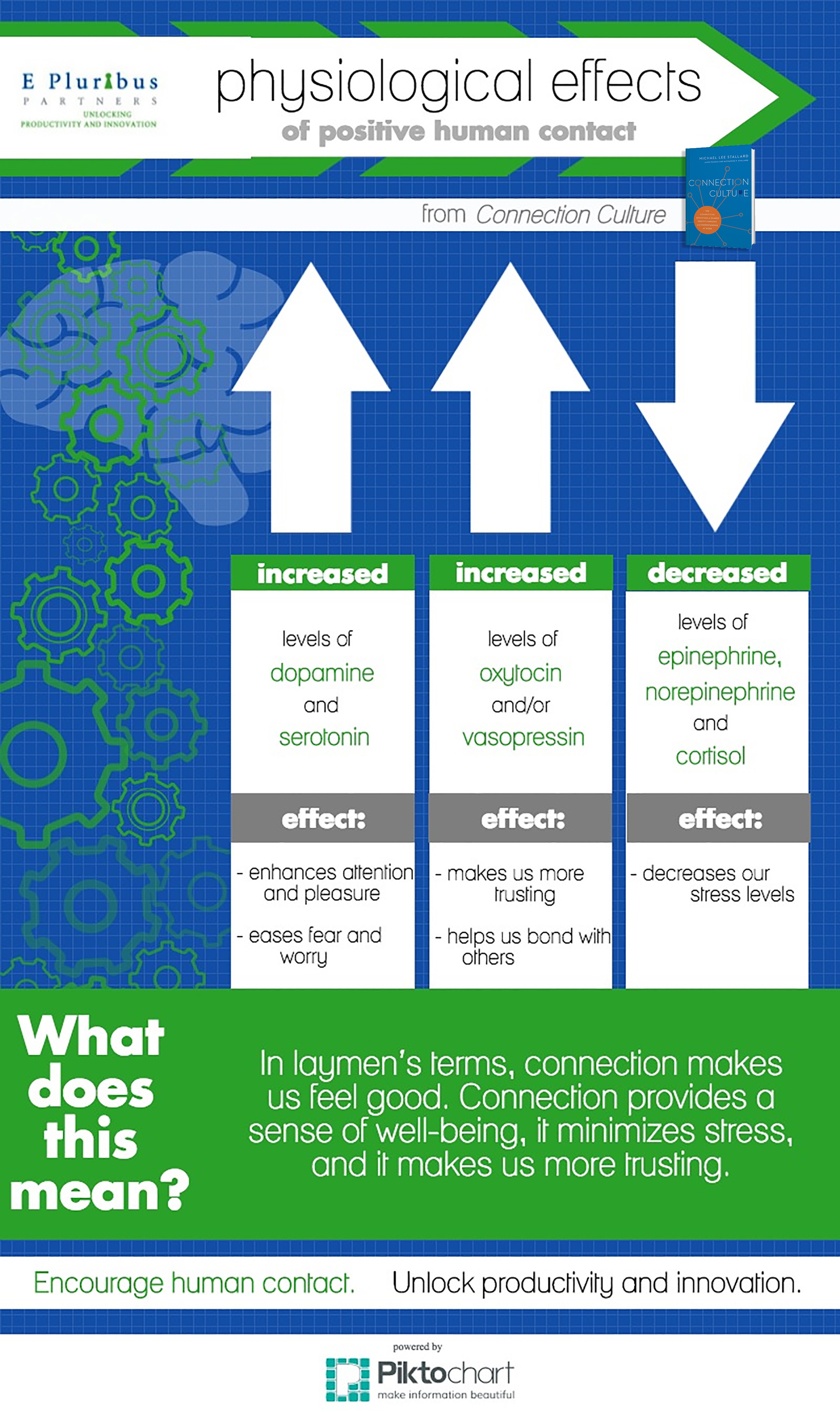 The Physiological Effects of Connection: An Infographic