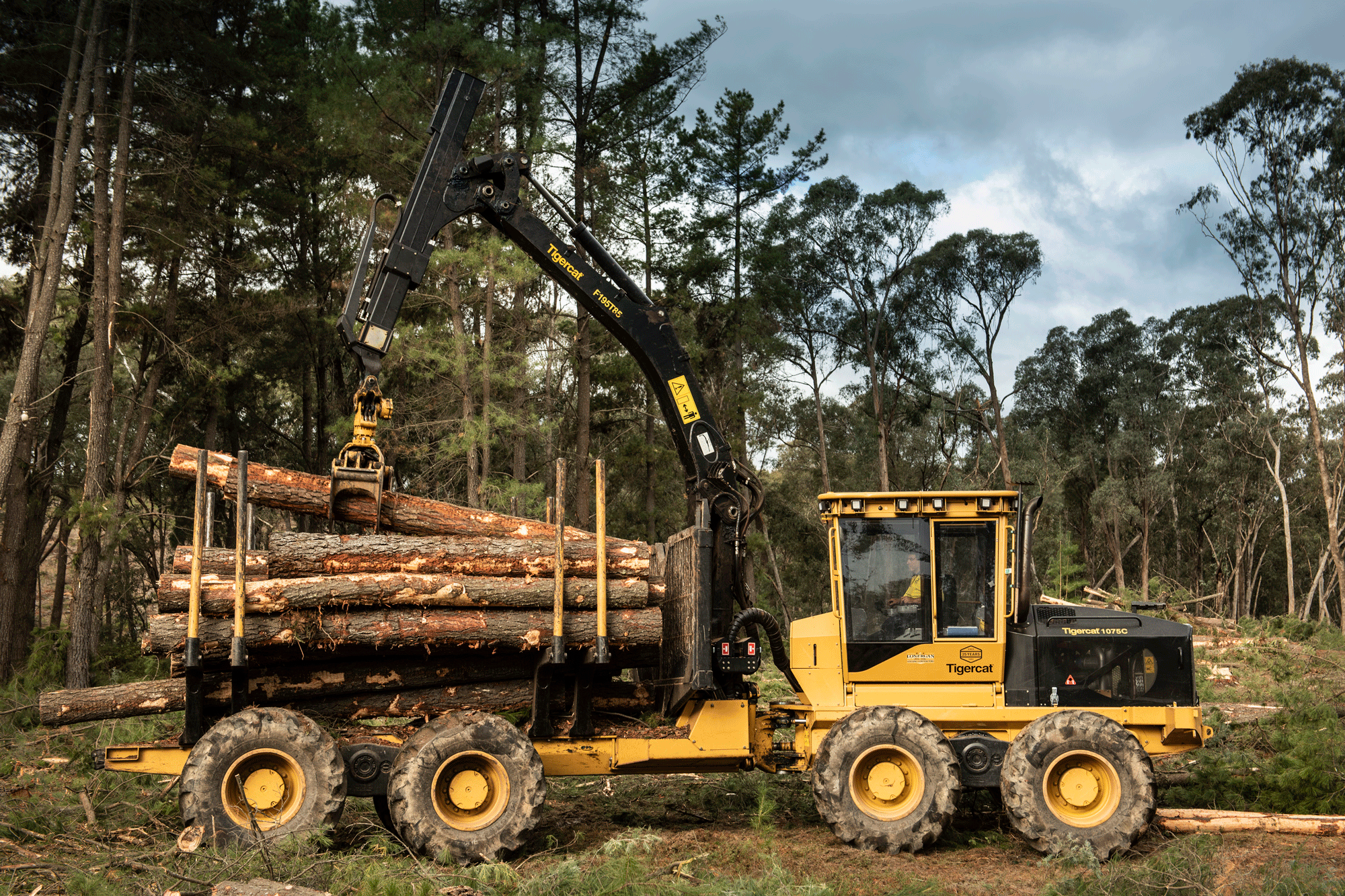 Tigercat C-series Forwarders