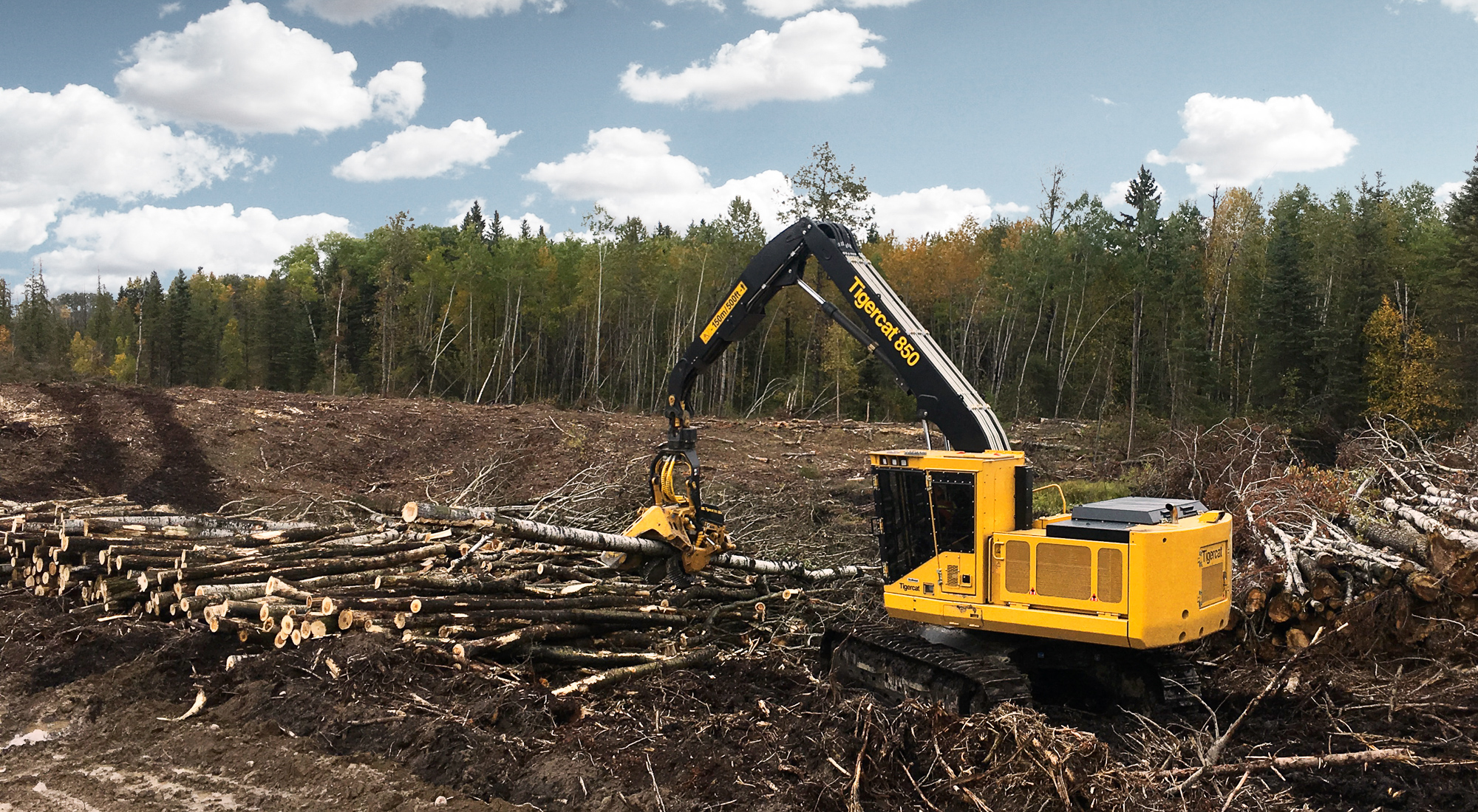 Tigercat releases new 850 roadside processor