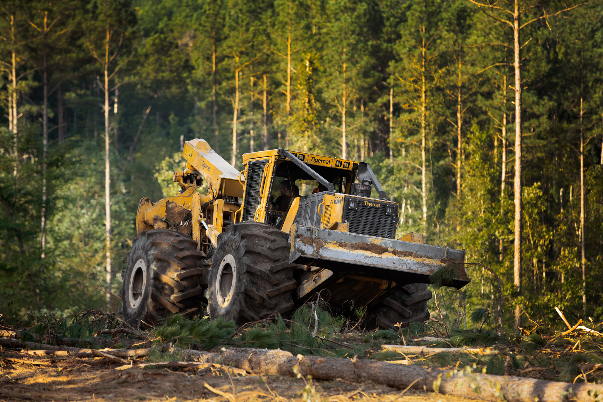 Tigercat Skidder