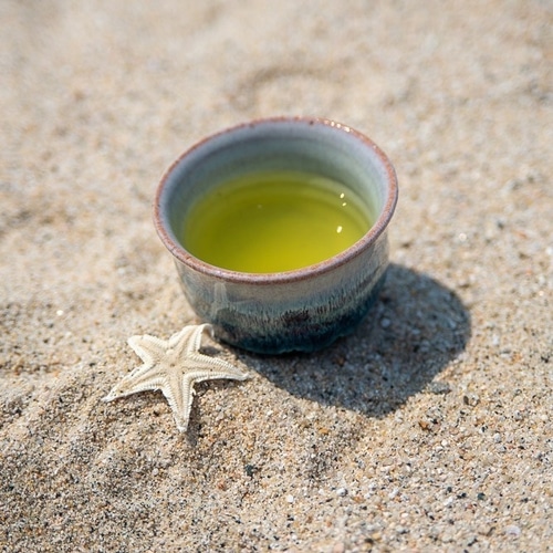 IKKYU - Premium Japanese Green Tea & Matcha