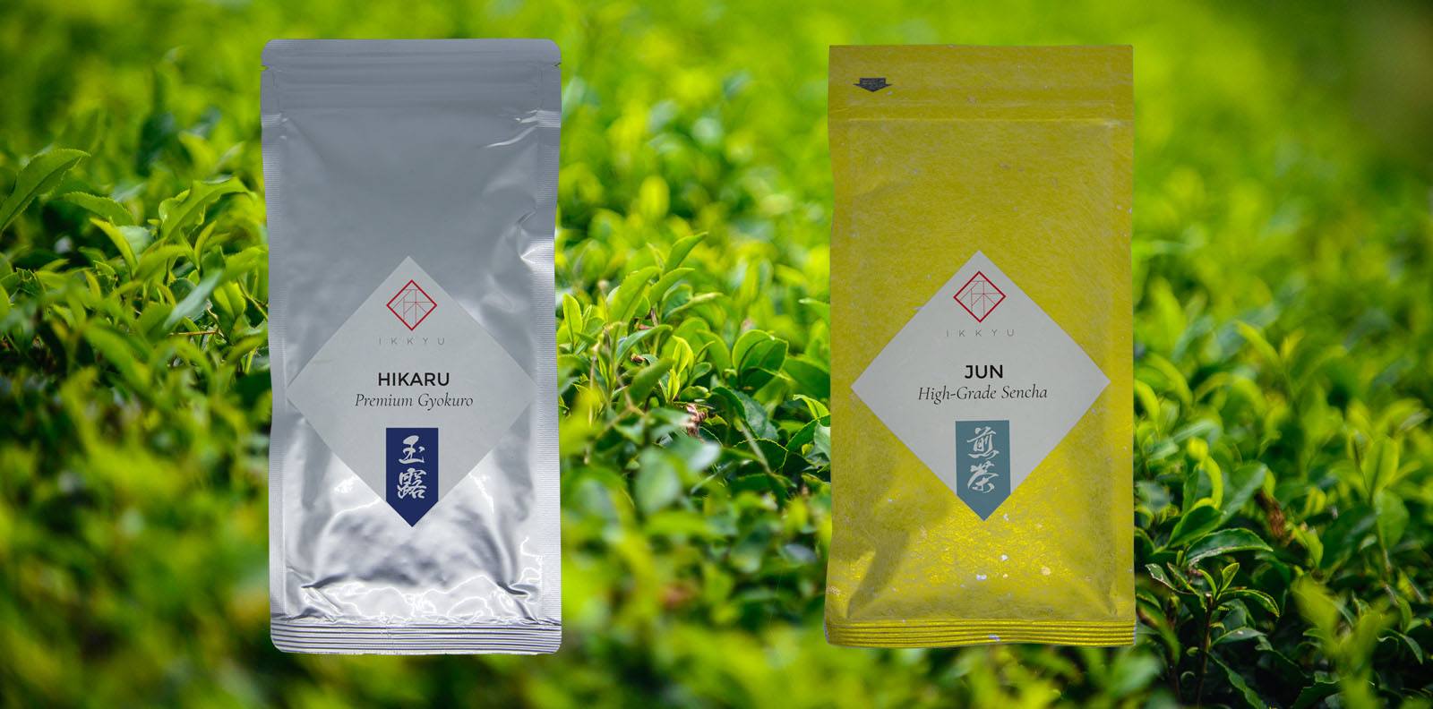 Introducing our plain packaging