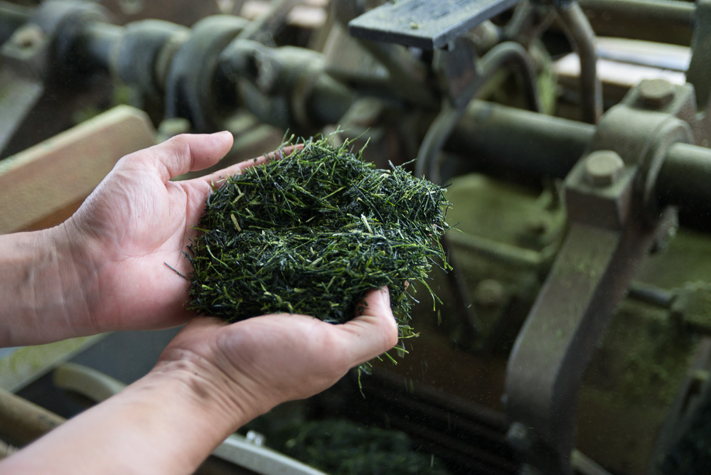 HATSUNO: Tea Tasting by Alex Ahearn