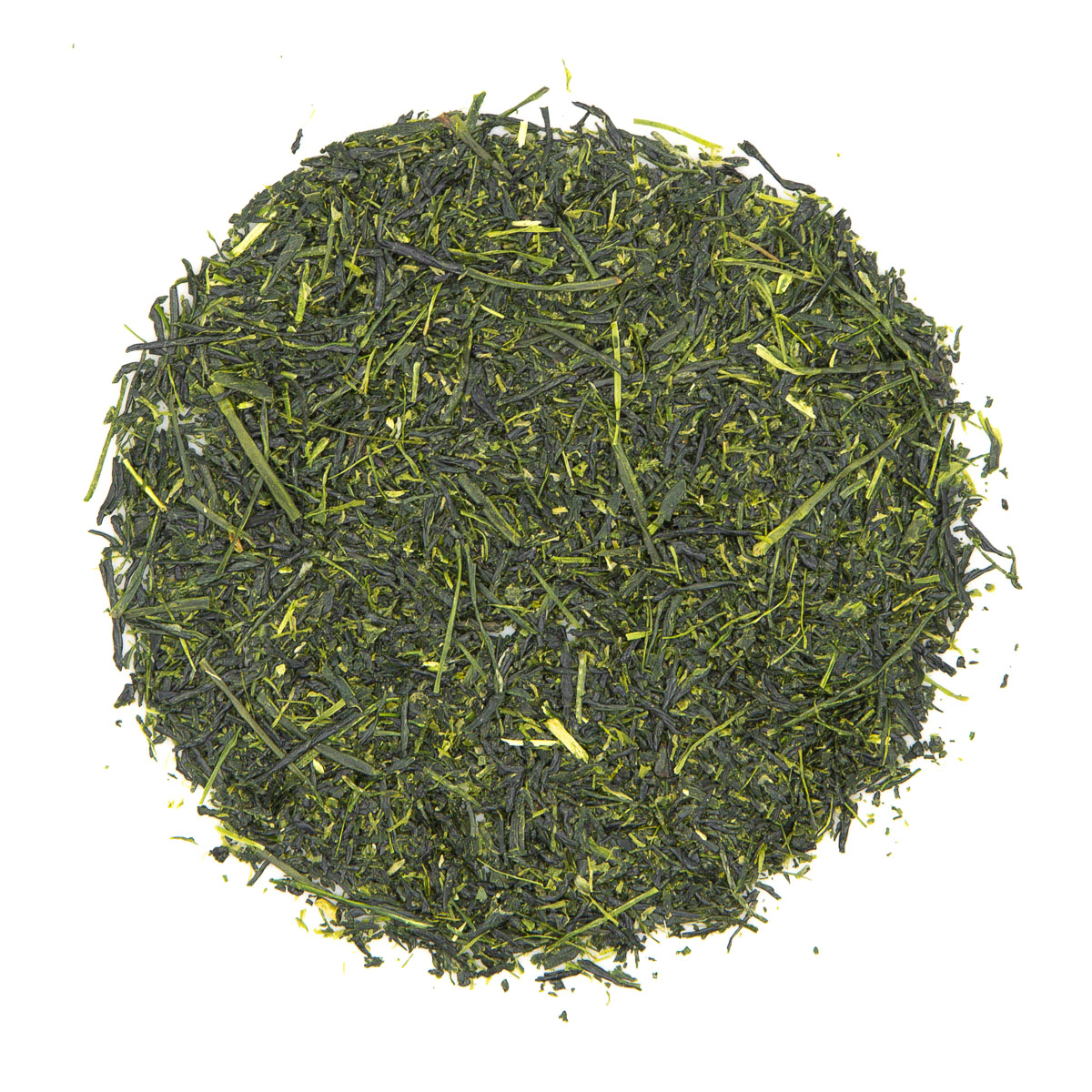 REN : Tea Tasting by Mélina Da Rocha