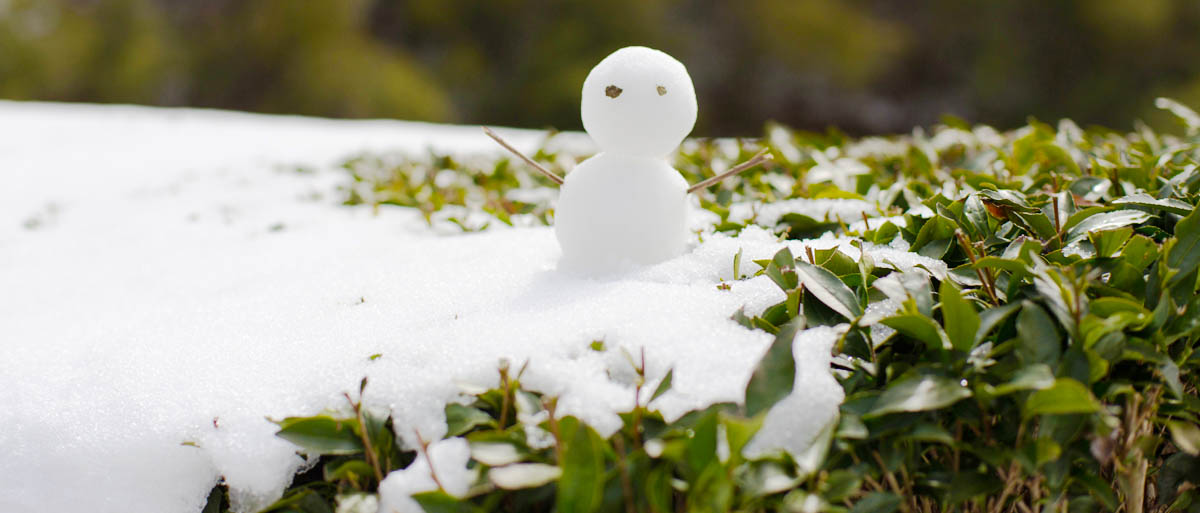 CHIYO: Tea Tasting by Alex Ahearn