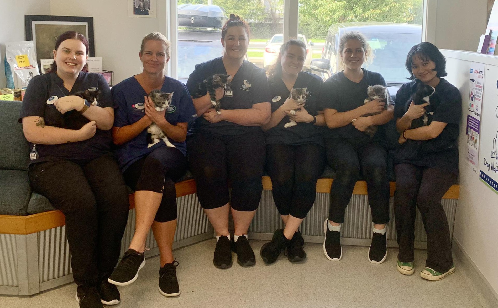 Albany Veterinary Hospital | Veterinary Hospital Group