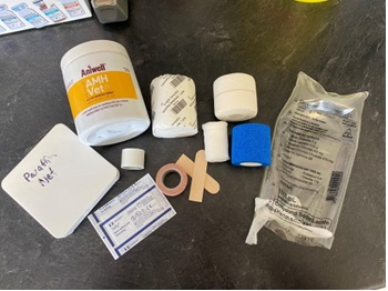 Bandaging | Veterinary Hospital Group