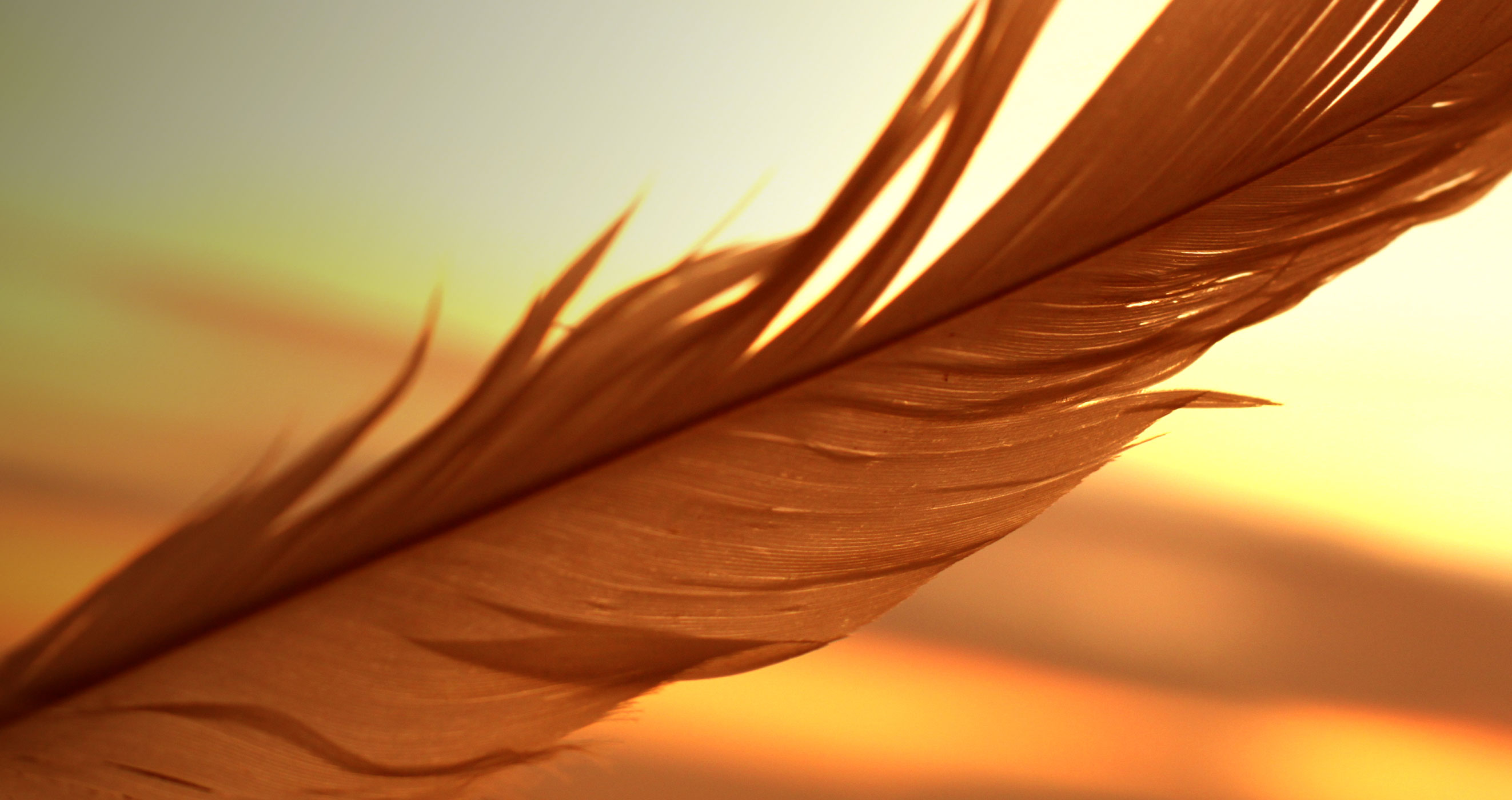 Welcome... [conscious.is]