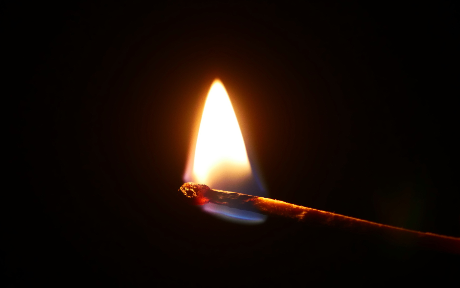 Let It Burn: The Four Stages of True Forgiveness | Conscious Leadership ...