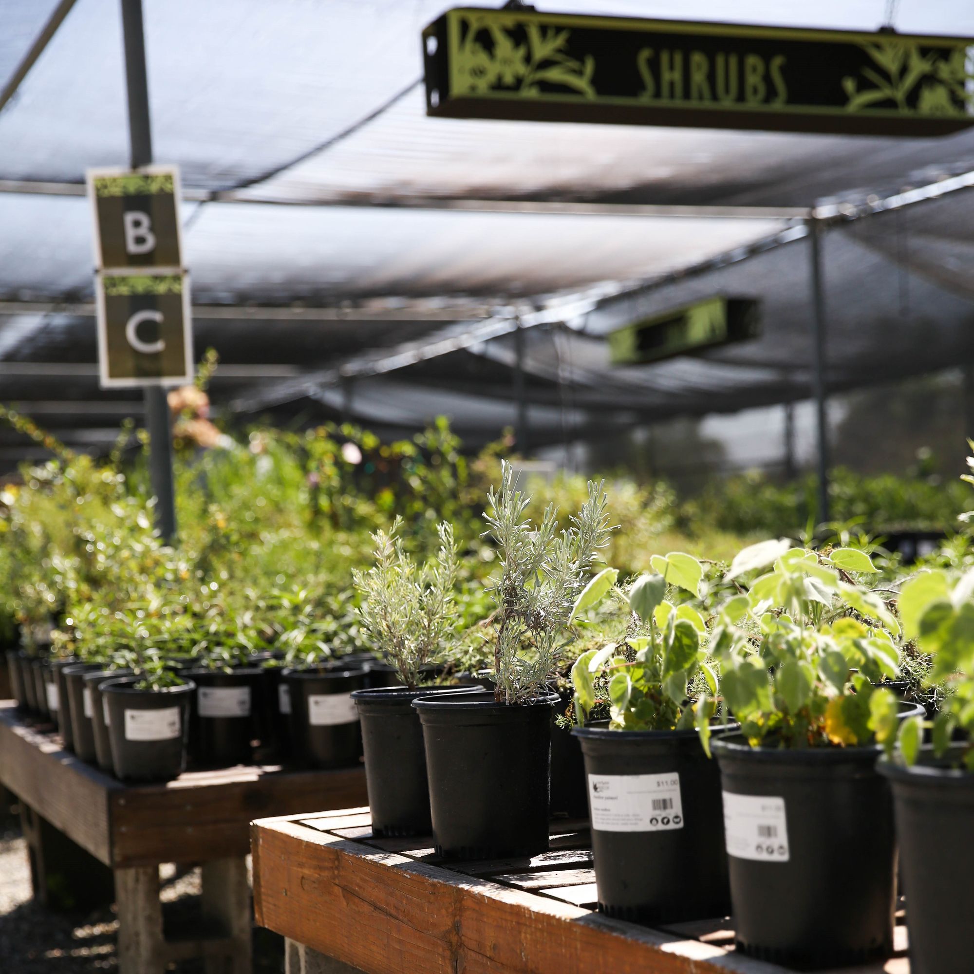 California Botanic Garden