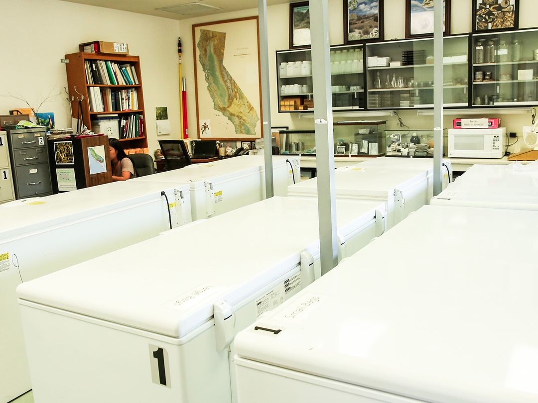 Seed Conservation