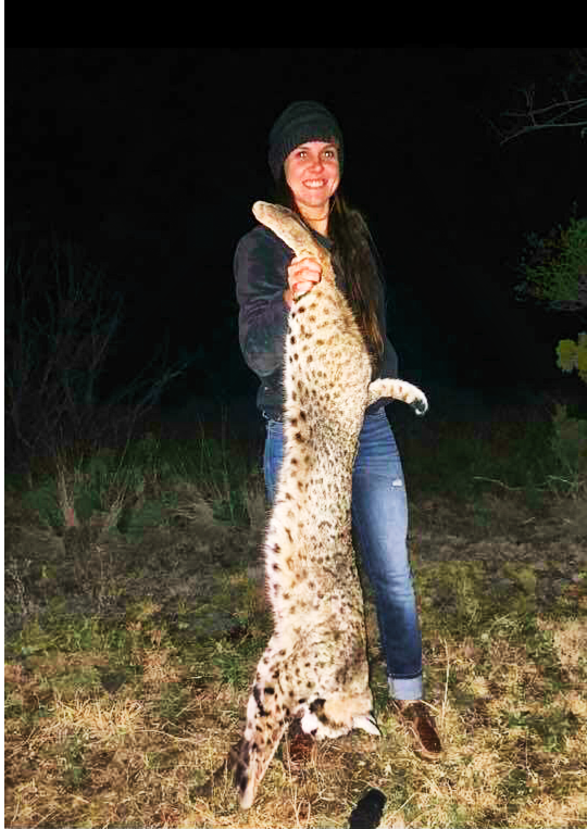 Texas Bobcat - Pricing, Features, and More