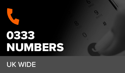 0333 Numbers