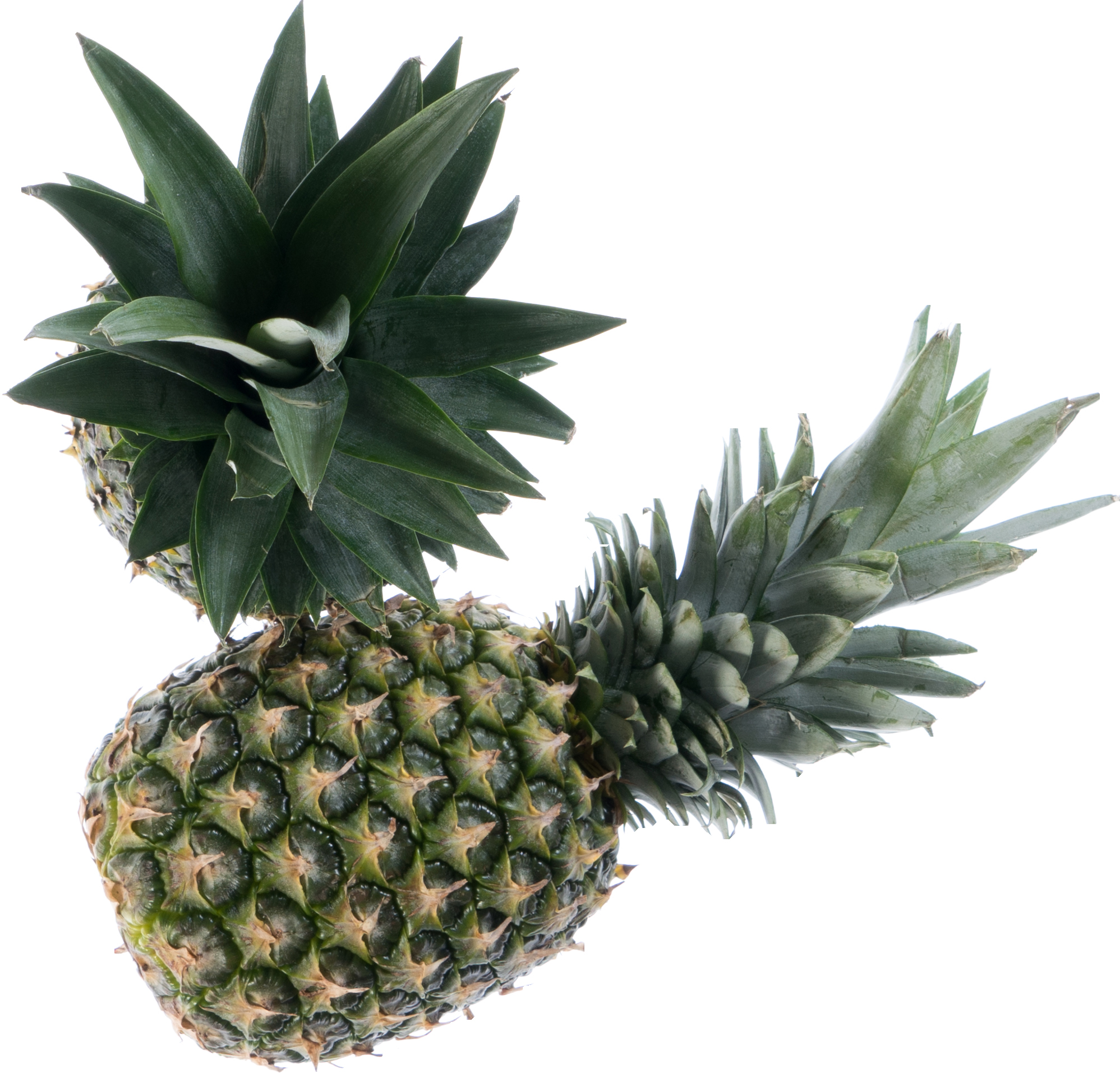 Discounted UPS Worldwide Saver Rates | Pirate Ship