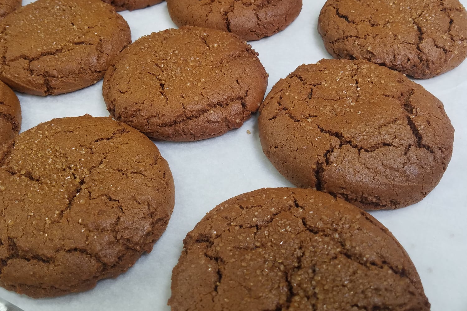 Wholesale Bakery Distributors