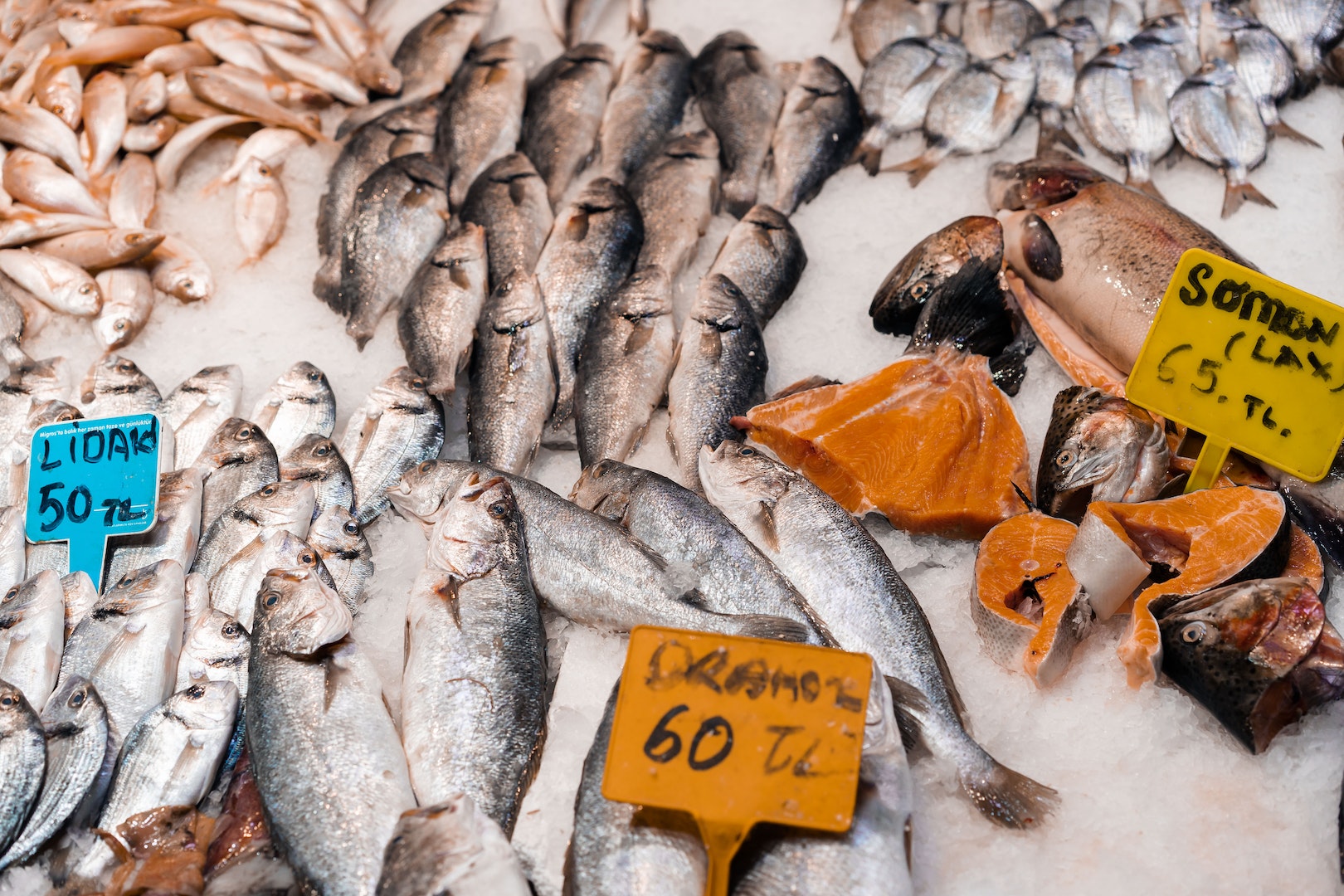 Online Seafood Store: Opening an Online Seafood Store