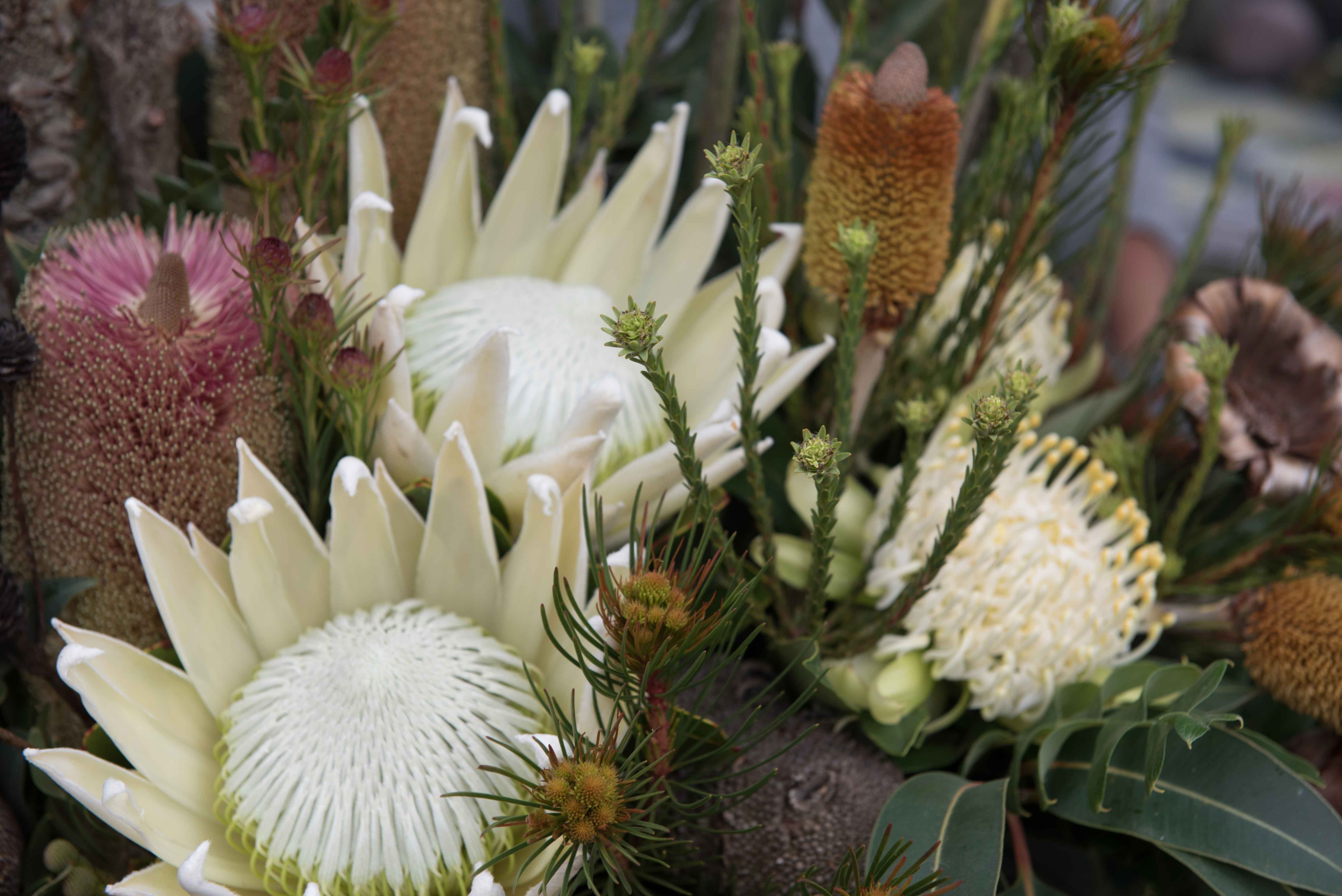 Mother's Day Gift Guide | Emu Plains Market | Fresh Produce & Craft ...