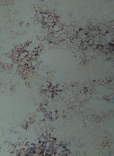 Mottled Antiqued Mirror - Saligo Design