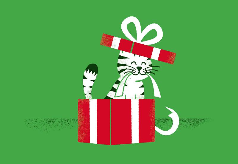 Jamie Oliver - OurCreative | Strategic Branding & Packaging Design Agency