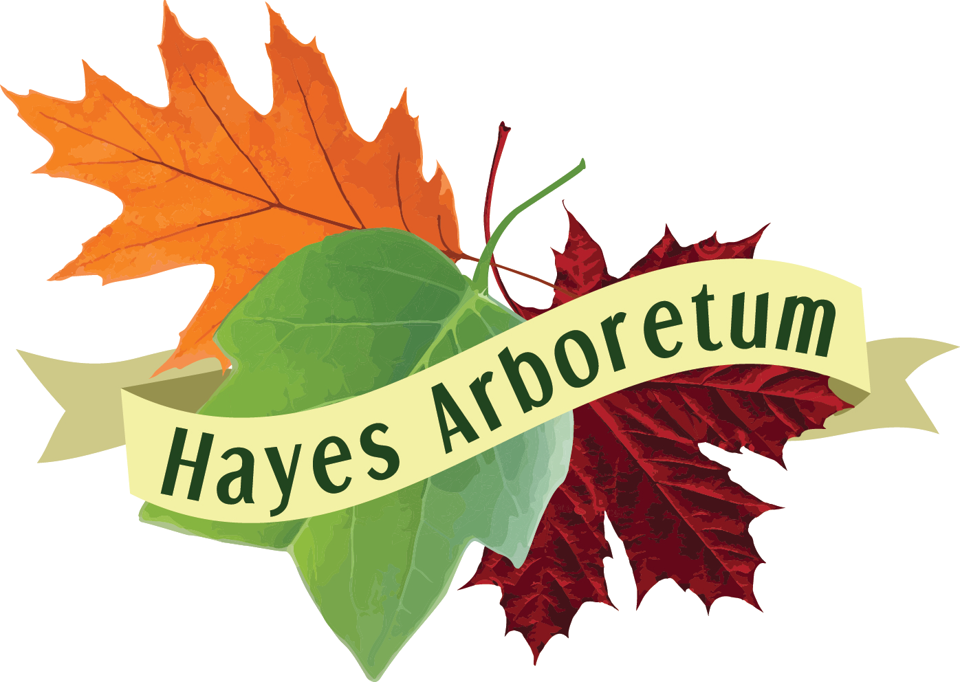 Hayes Arboretum