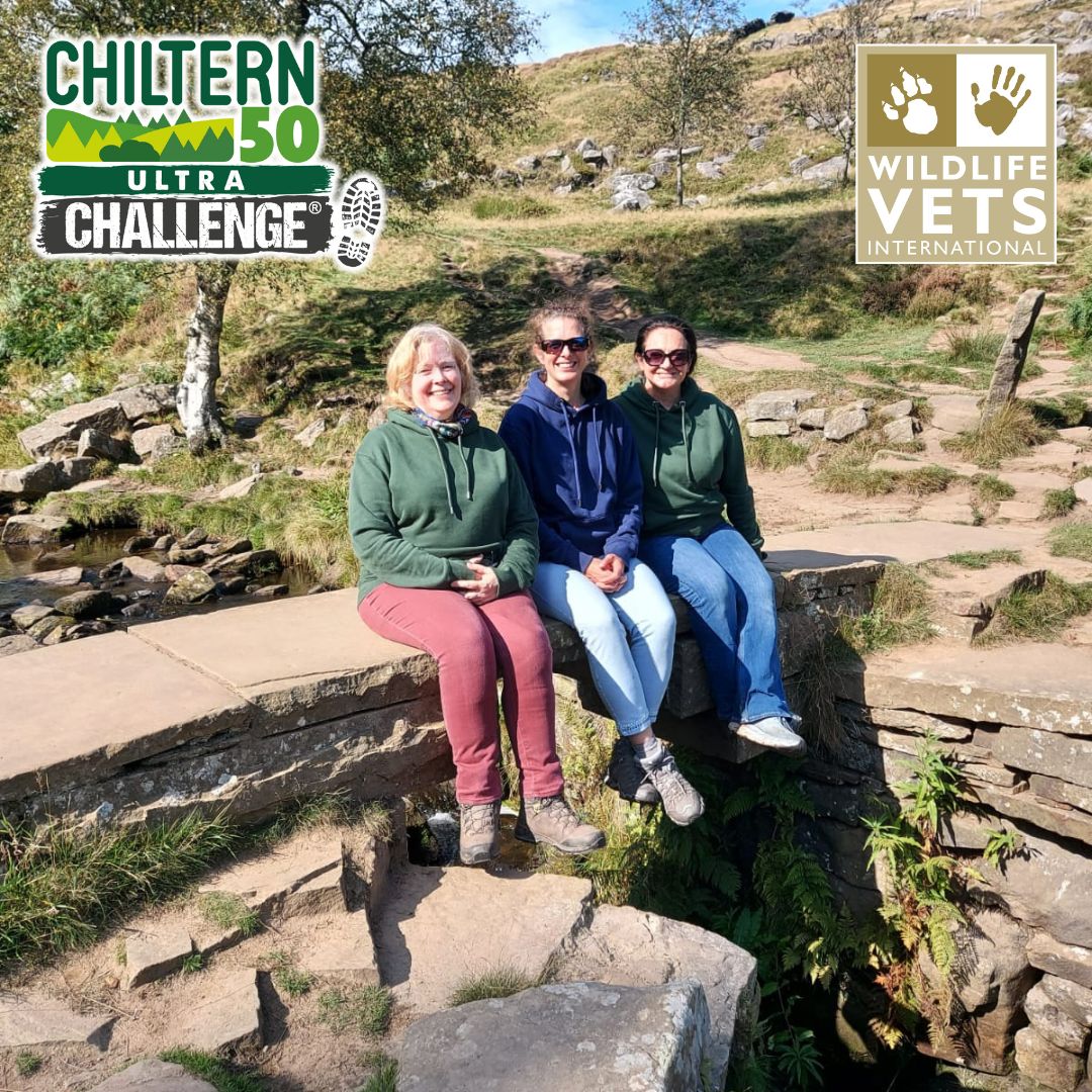 Team WVI - Chiltern 50k Ultra Challenge - News - Wild Life Vets International