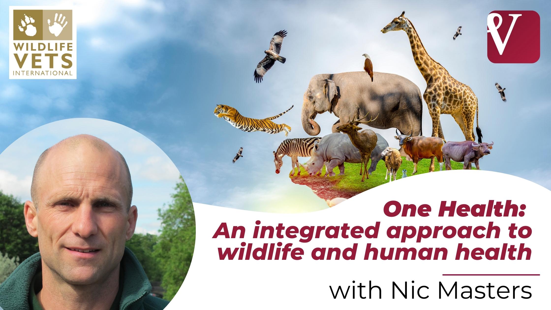 Wildlife Webinars - News - Wild Life Vets International