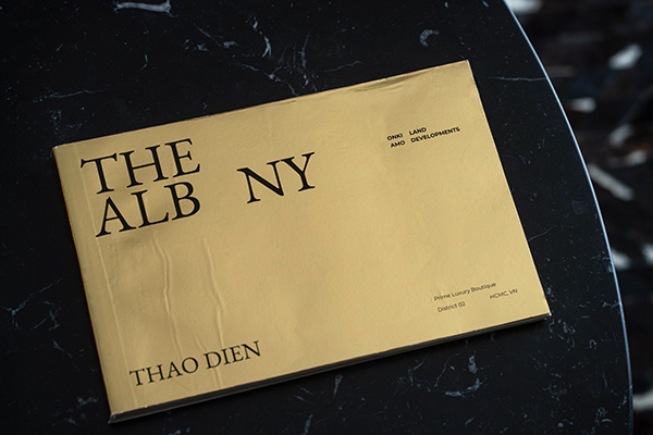 The Alb ny Rebranding