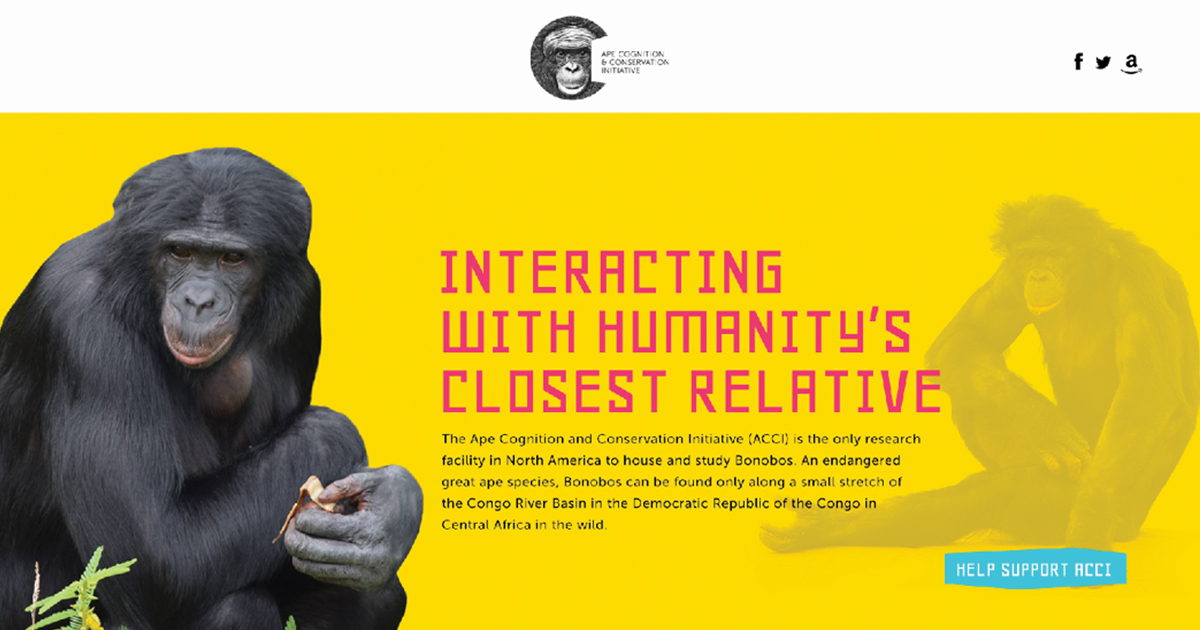 Red Dot Advertising + Design | Pro Bono Bonobos