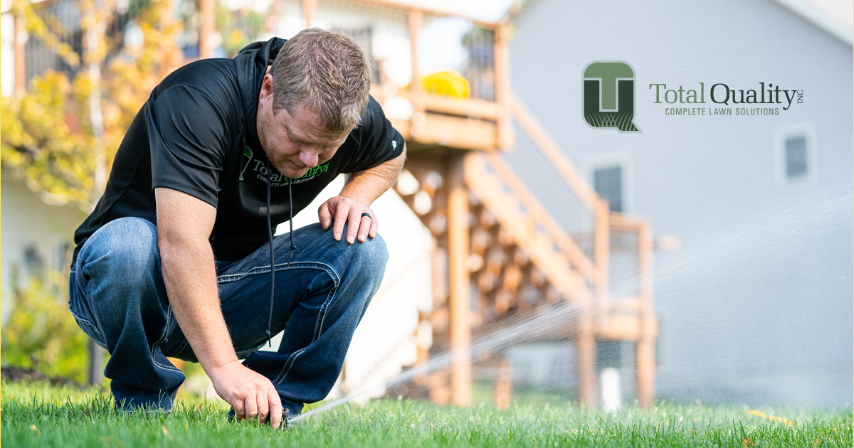 Red Dot Advertising + Design | Growing business: Total Quality