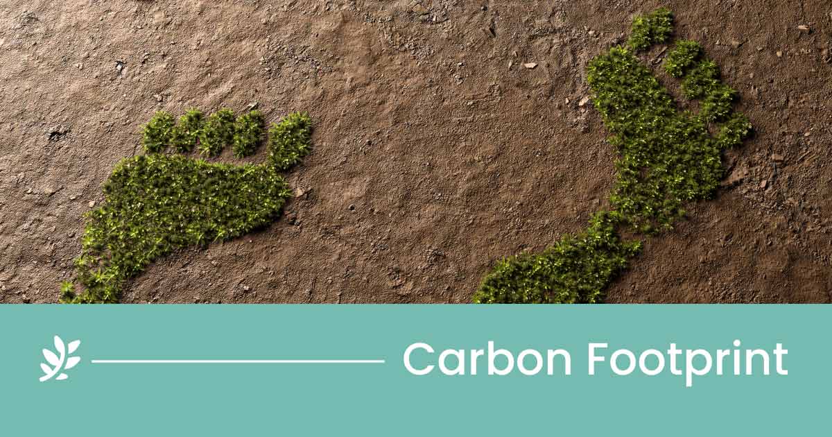 Carbon Footprint | Green Living | OhmConnect Blog