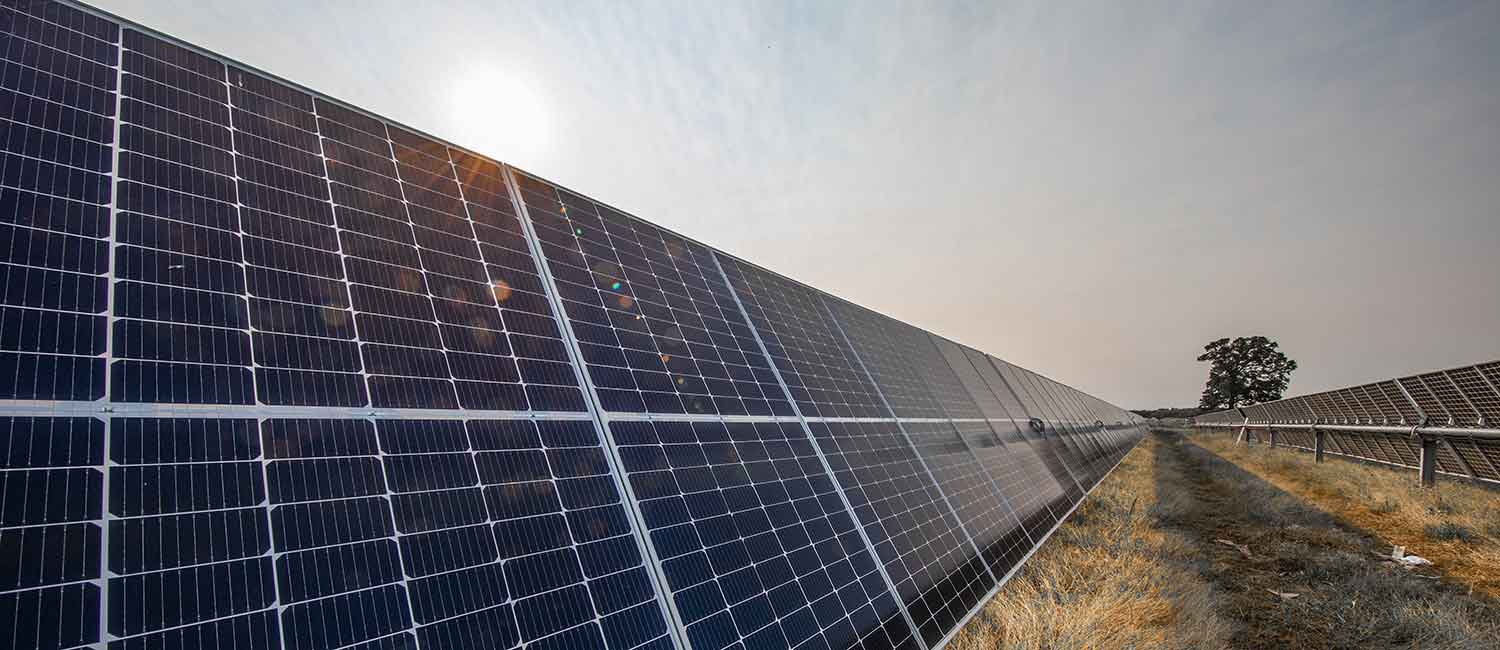 Renewable Energy Saves Texas Despite State Legislators