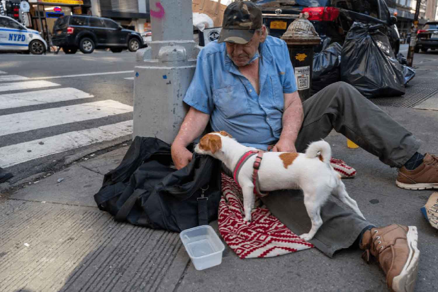 64% of USA is Exposed to Extreme Heat & Longer Heat Waves