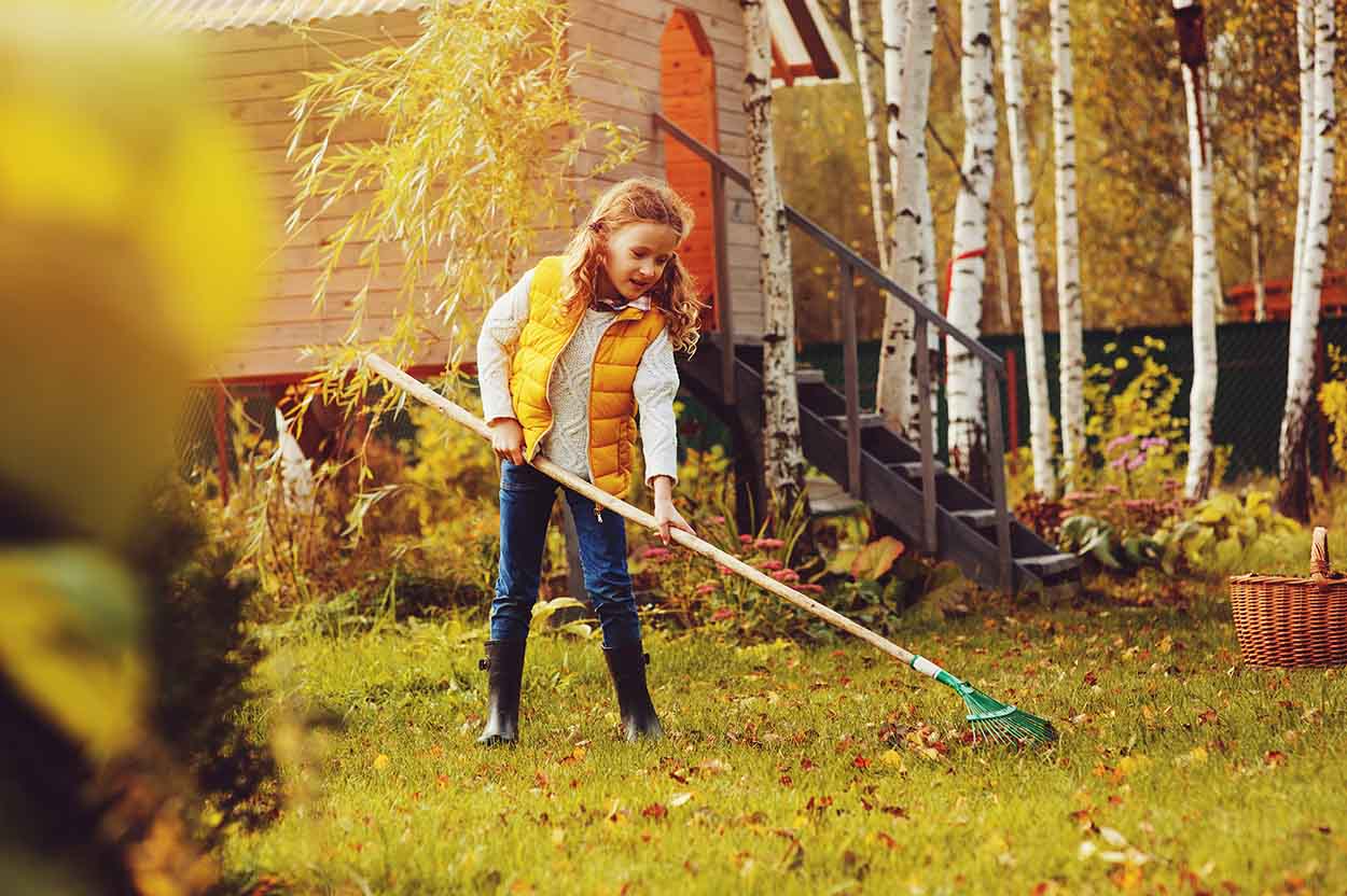 Fall Home Maintenance: Make Your Home More Efficient