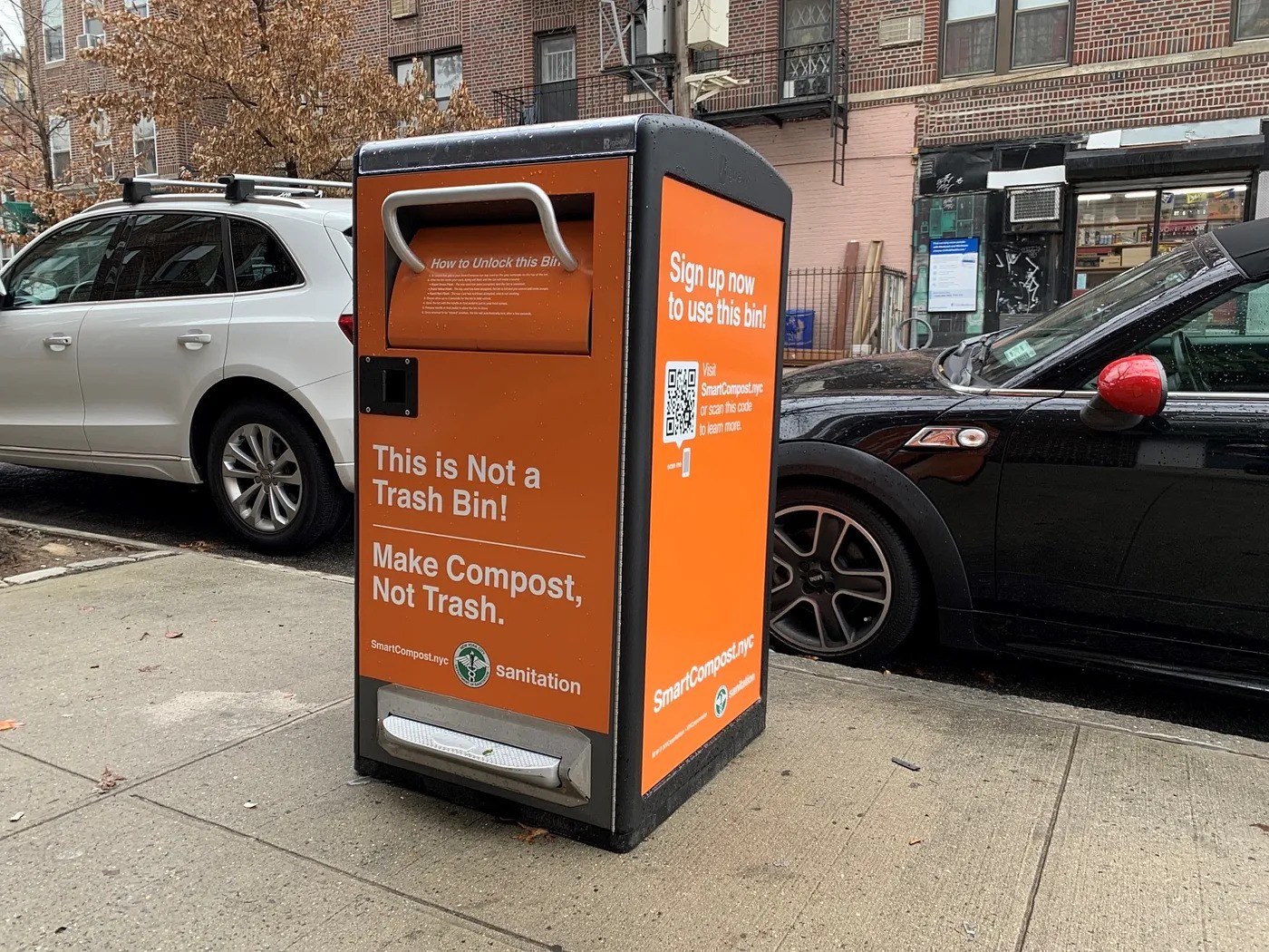 Your Essential Guide to NYC's (New) Waste Management Programs Now