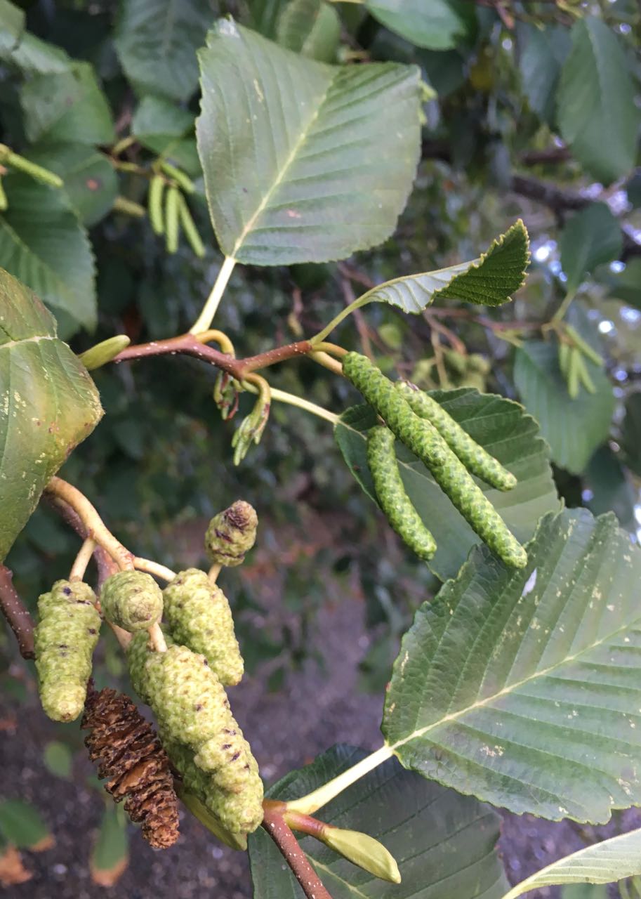 GRuB: Garden Raised Bounty