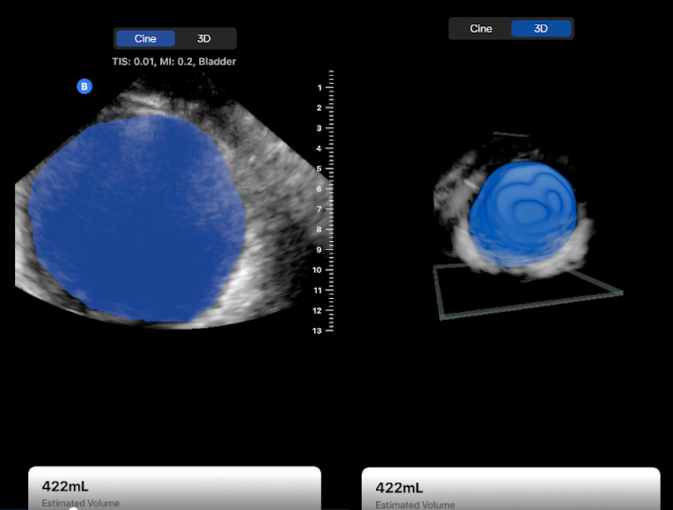 Case Studies - Sound Decisions