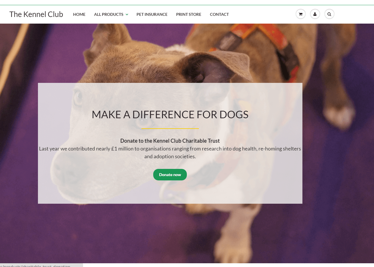A new online shop for dogs