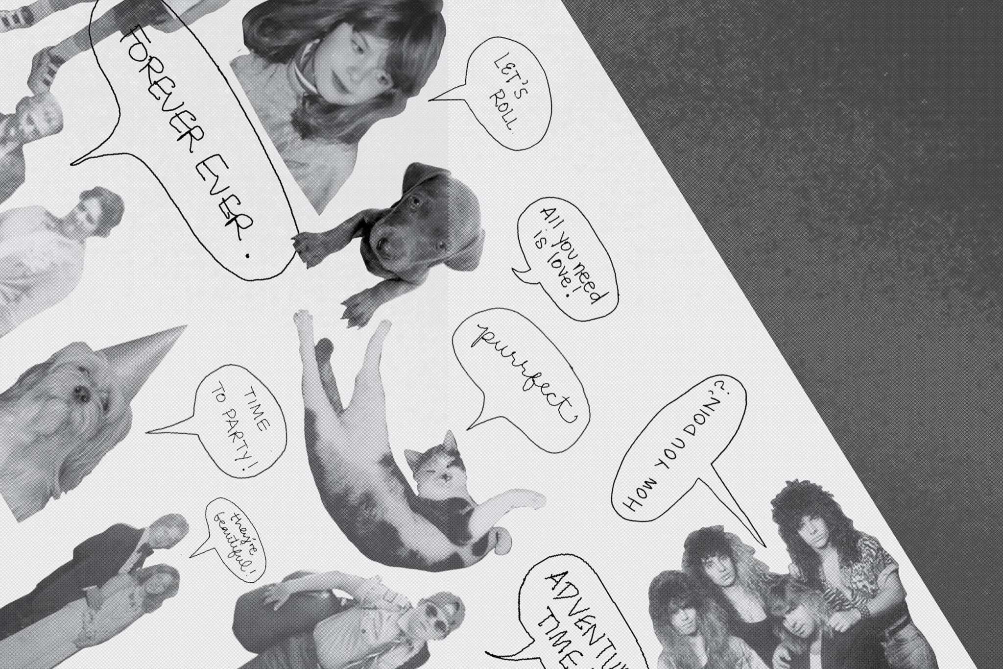 Brand Engine — Conversation with Taylor Hamilton