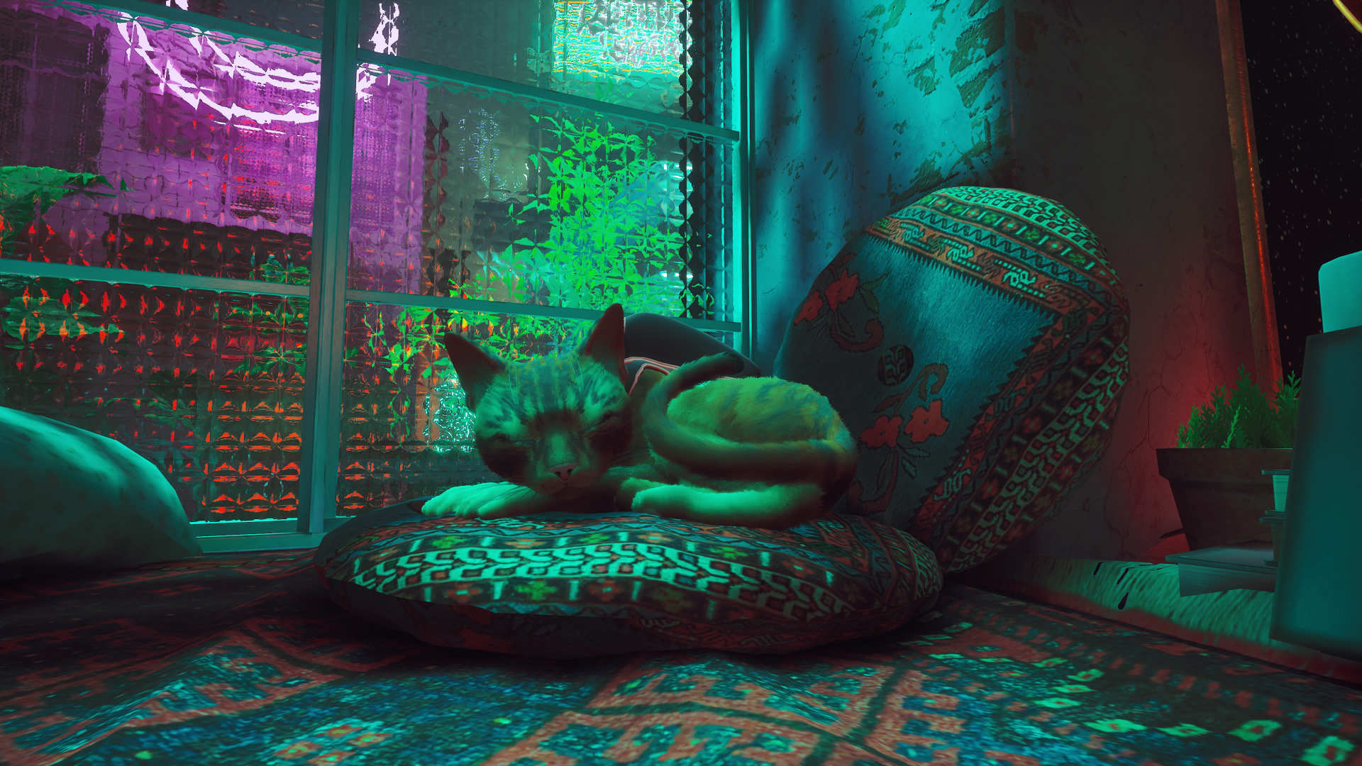 STRAY is at its best when you're just being a cat roving through the world