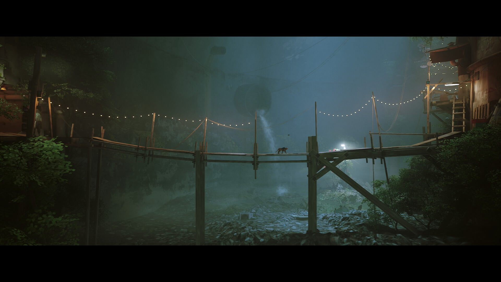 Stray Review - Jump Dash Roll