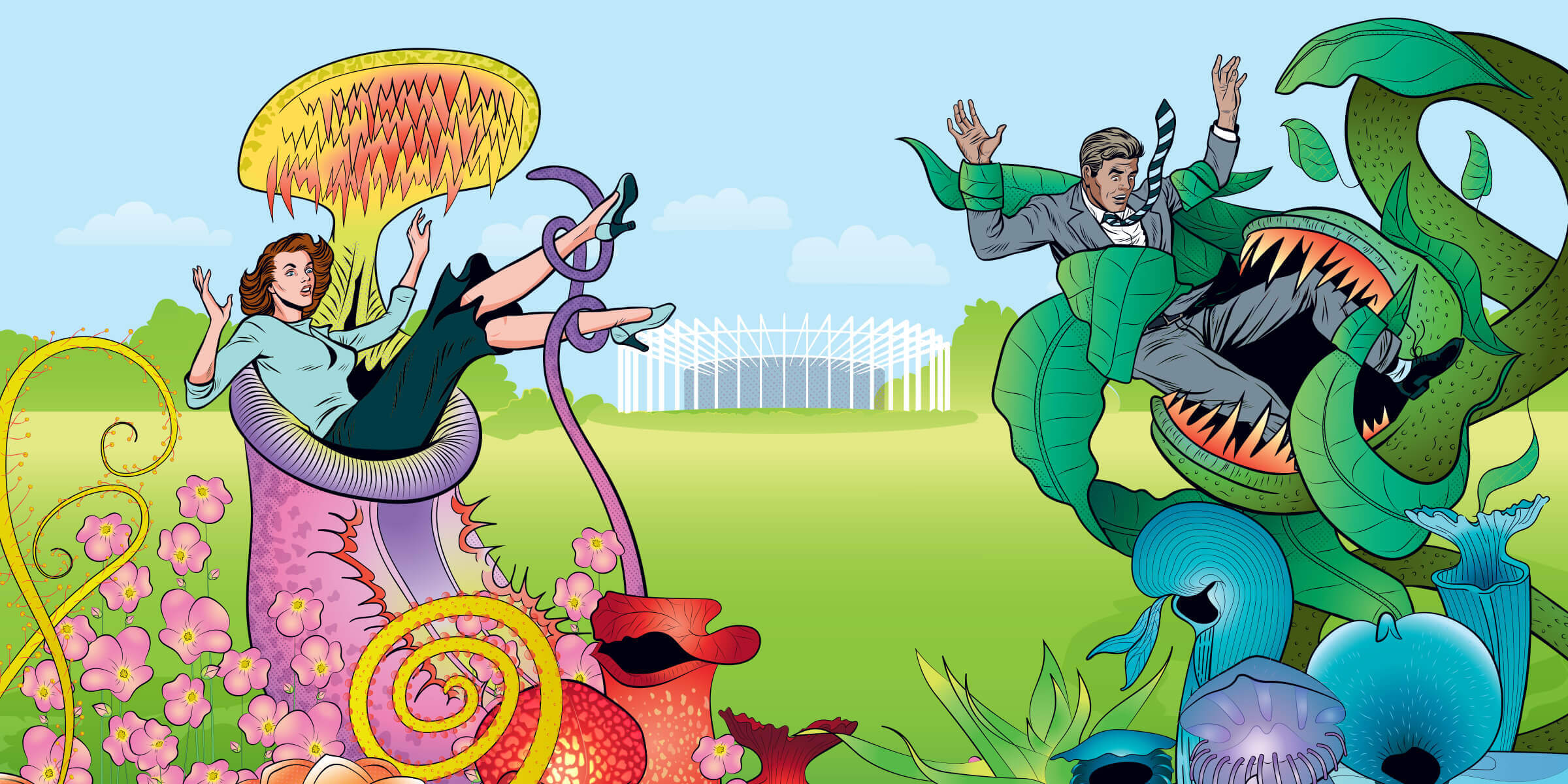 Gillian Moran Design Portfolio - Plants with Bite!