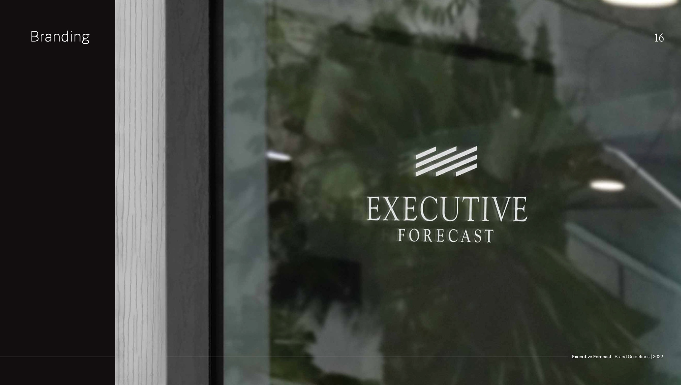 Executive Forecast Website Development by Cloudfusion