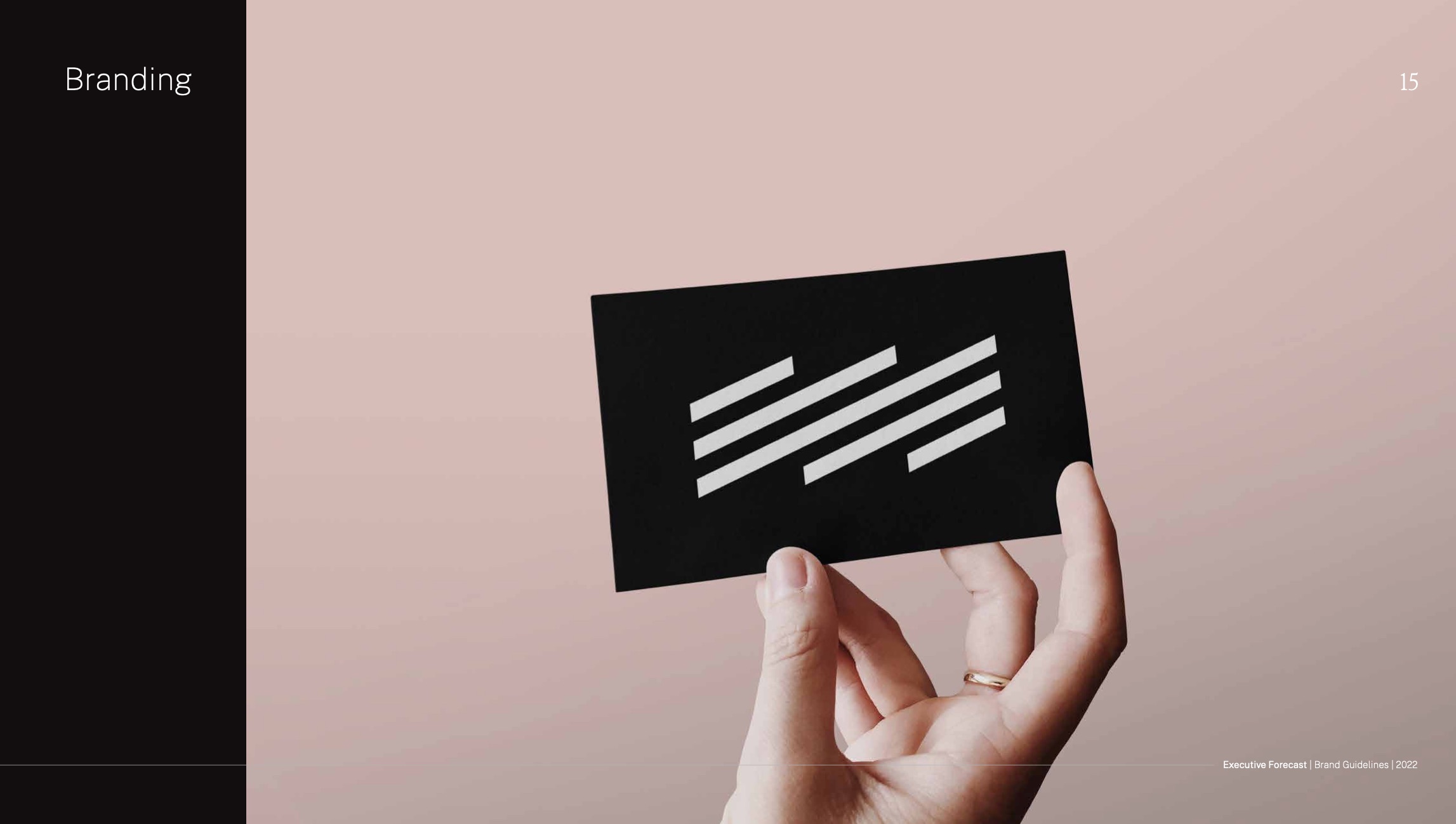 Executive Forecast Website Development by Cloudfusion