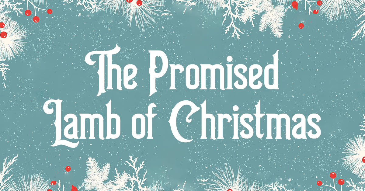 The Promised Lamb of Christmas | Devotionals | Coram Deo Church
