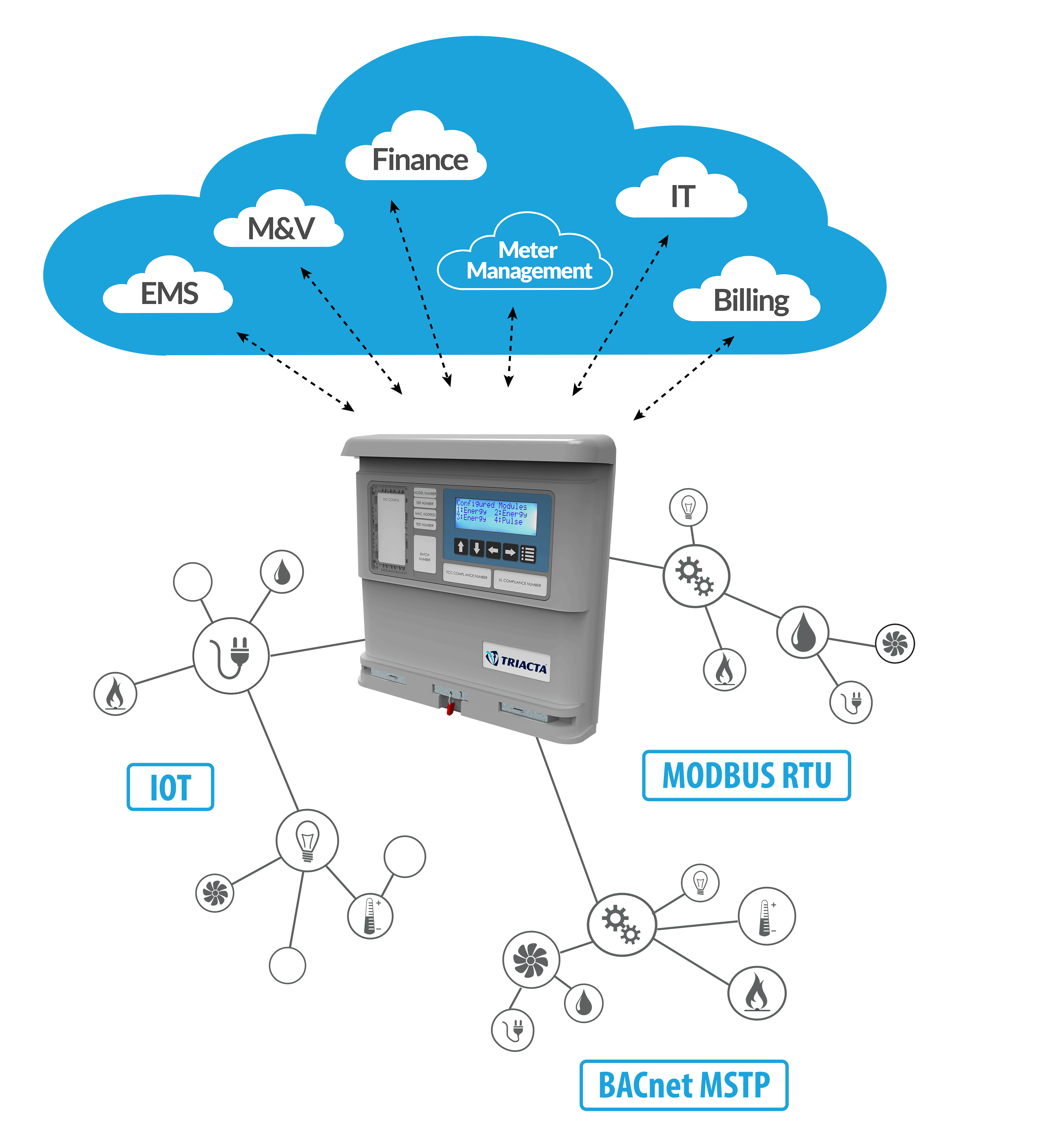 Multi-Service Homing
